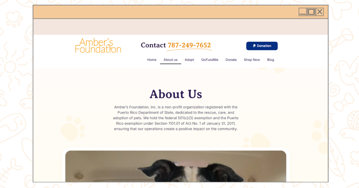 About us - Ambers foundation